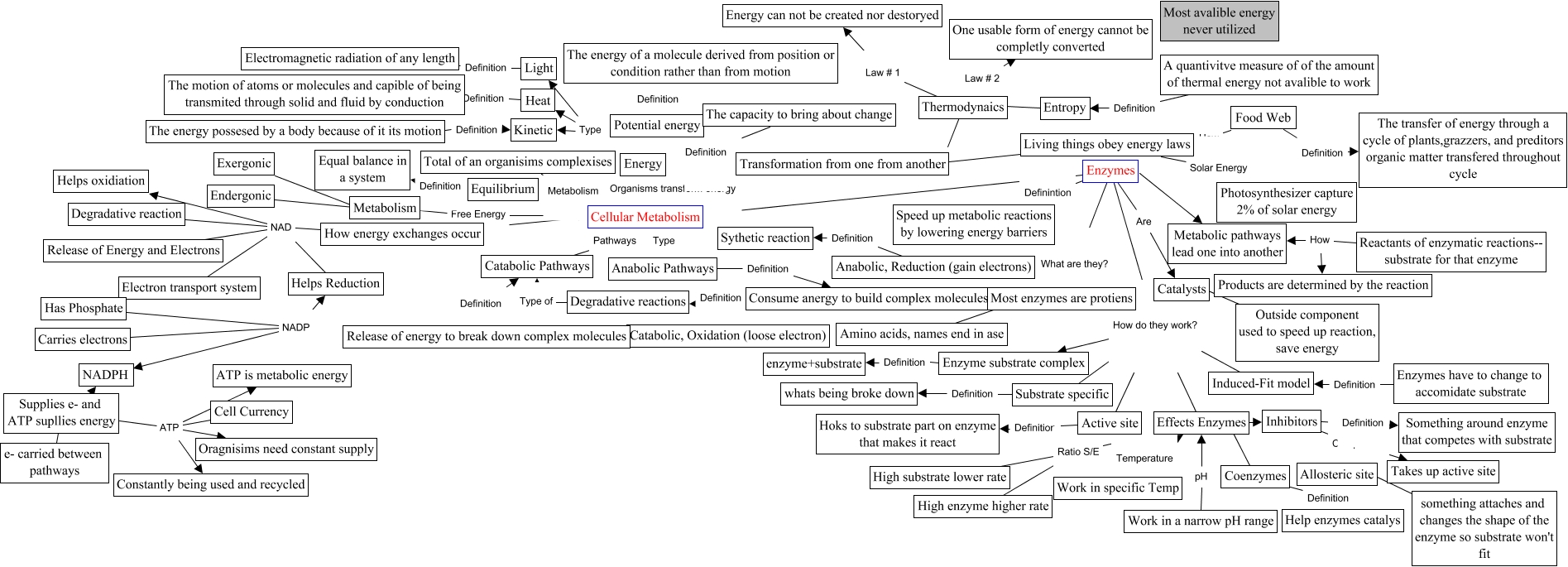 Cellular Metabolism - Map on cellular matabolism